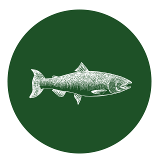 Smoked Fish Collection | Karve Deli Jerusalem – Yoeli's Smoke House